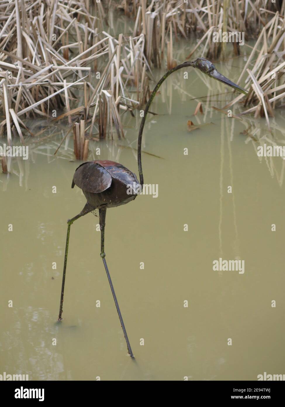Metal sculpture of a water bird with long, thin legs, emerging from the ...