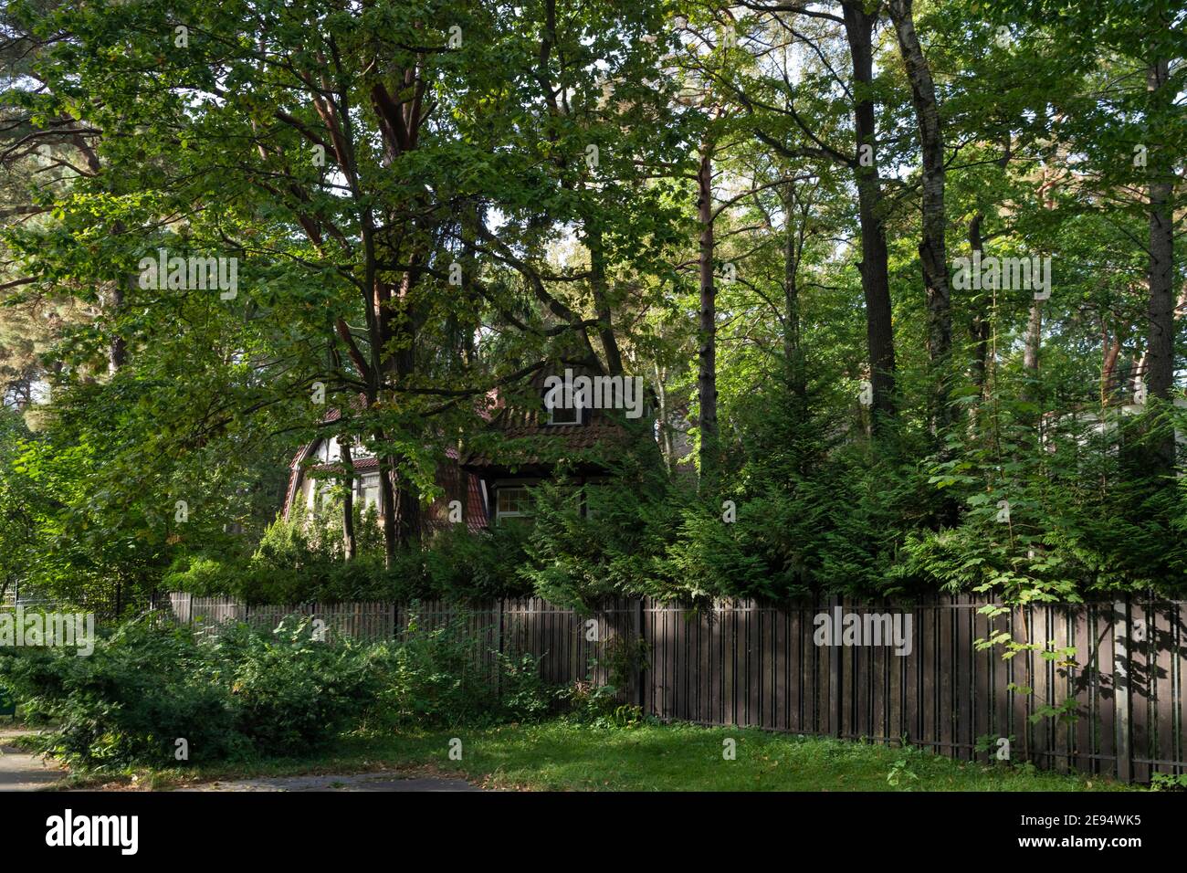 House hidden trees hi-res stock photography and images - Alamy