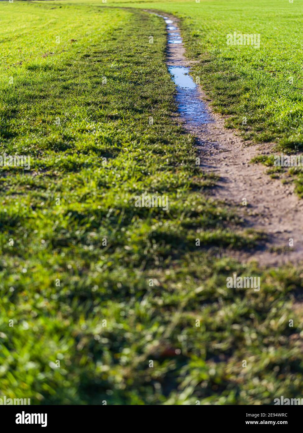 A large puddle on the edge of a fallow field after a storm Stock Photo ...