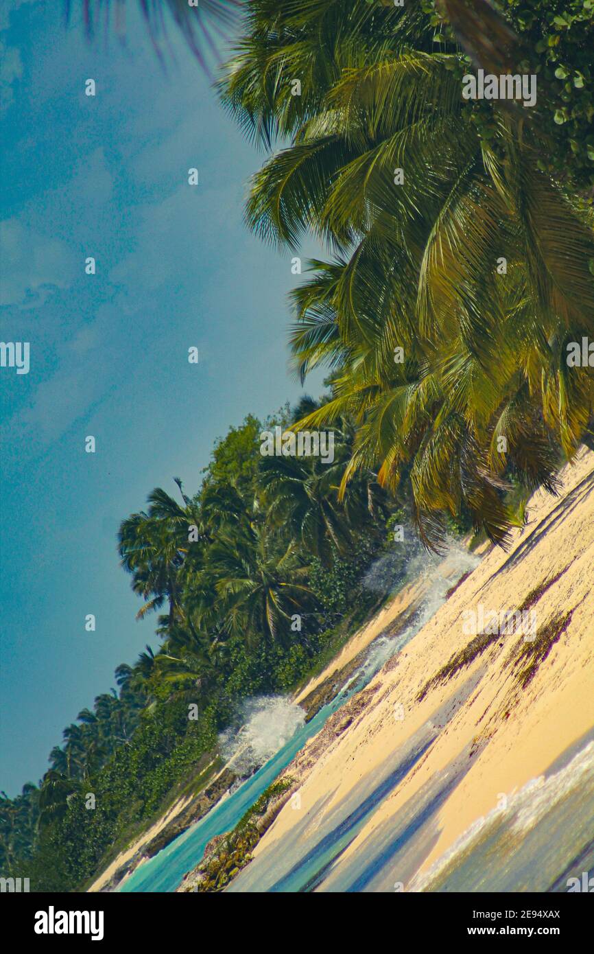 cuban tropical shore line Stock Photo - Alamy