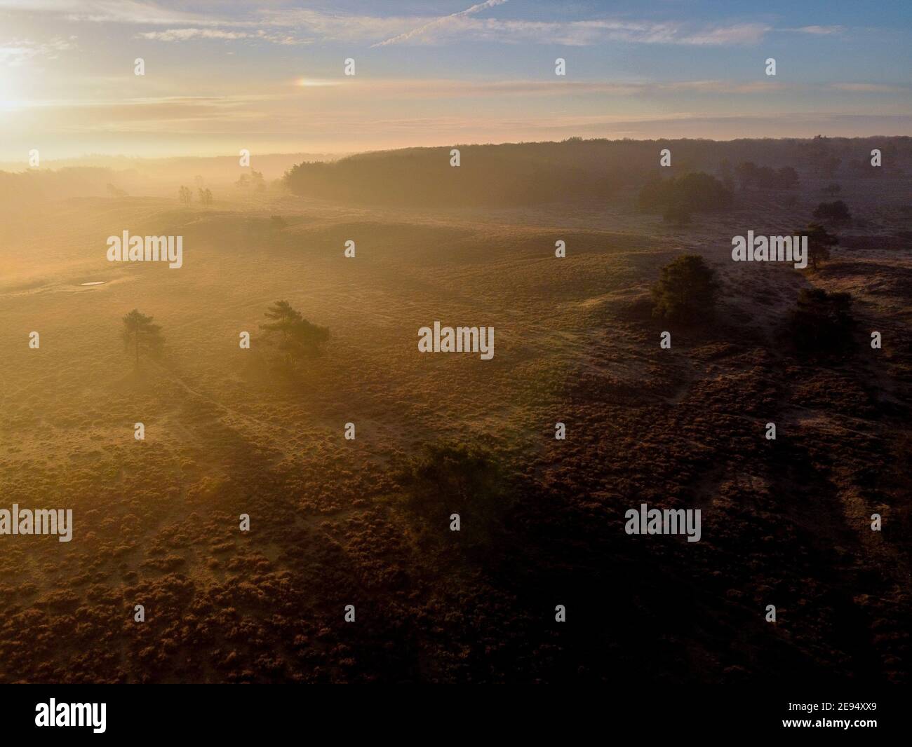 Aerial image over a moor with trees during first sunlight with mist ...