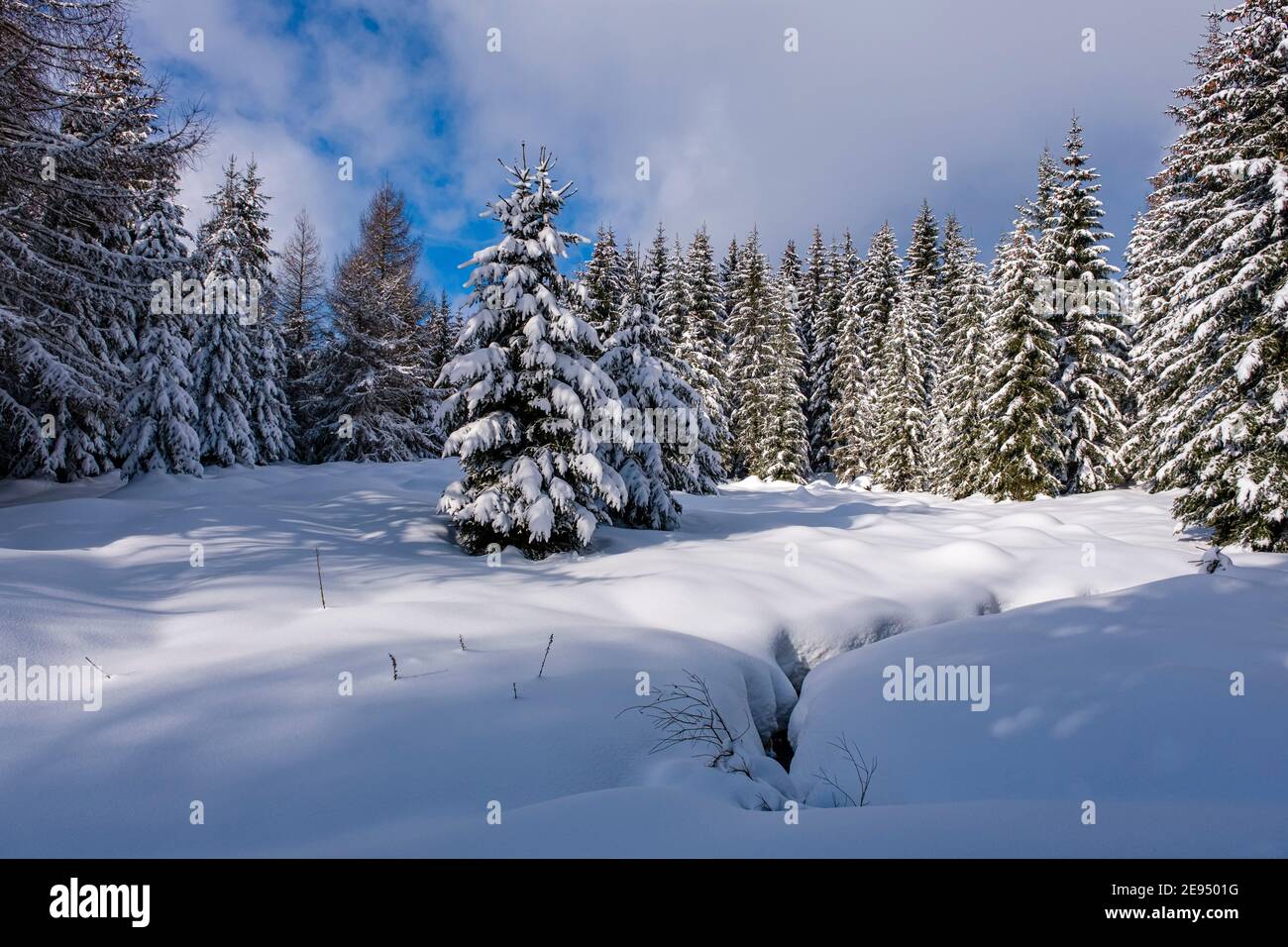 Winter landscape with trees and snow at a sunny day in Ore Mountains ...