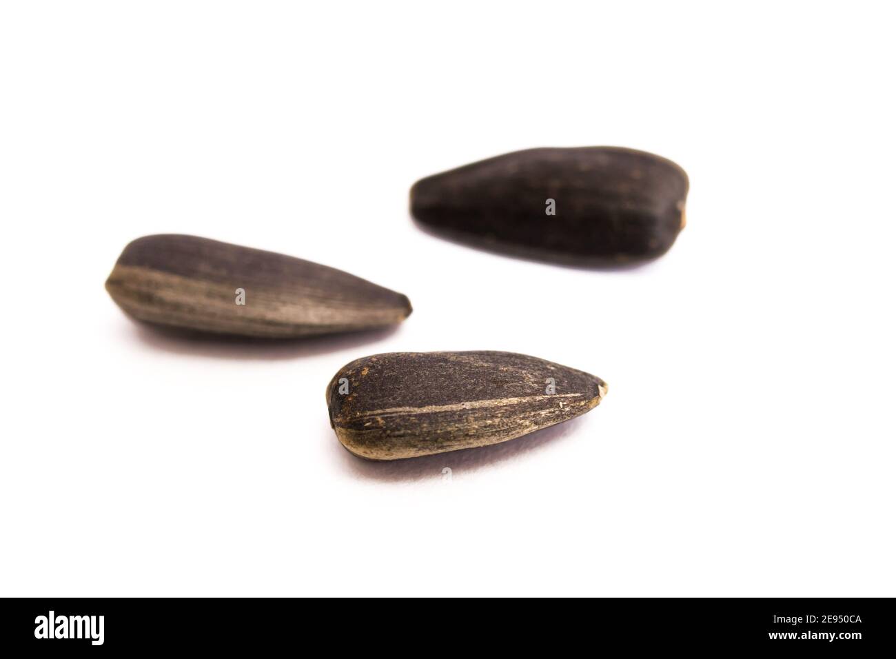 Three sunflower seeds isolated on a white background Stock Photo - Alamy