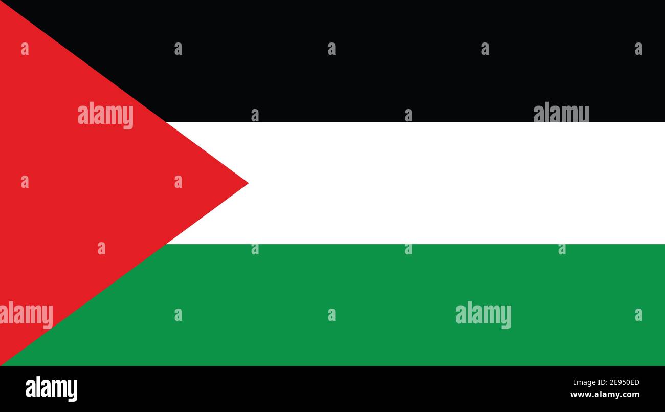 Palestine, israel flag country, jeruzalem zone on white background ...