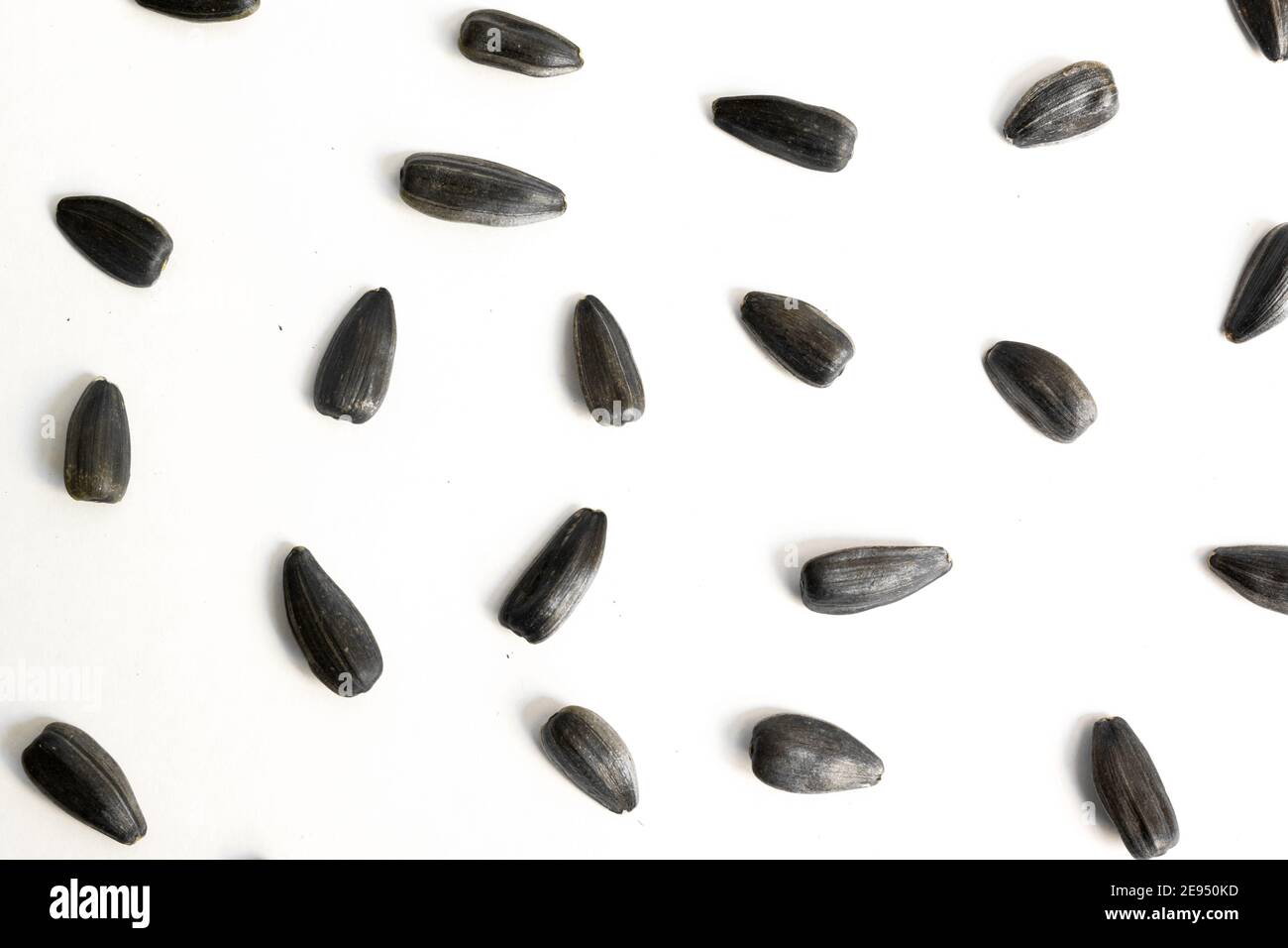 Background or texture of sunflower seeds scattered on a white ...