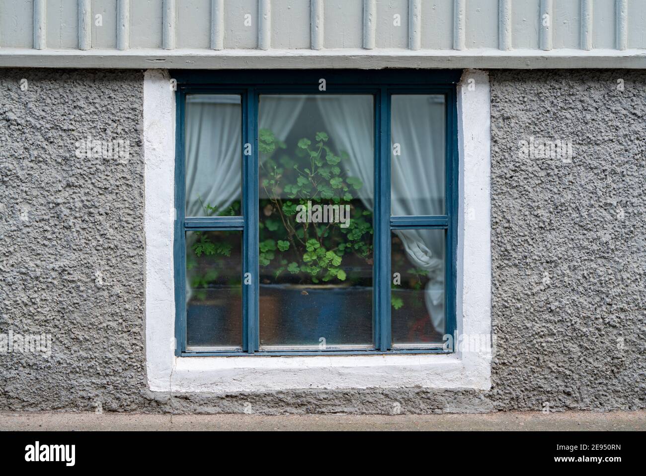 Elegant Decorated Window frame details with flowers in the town Stock ...