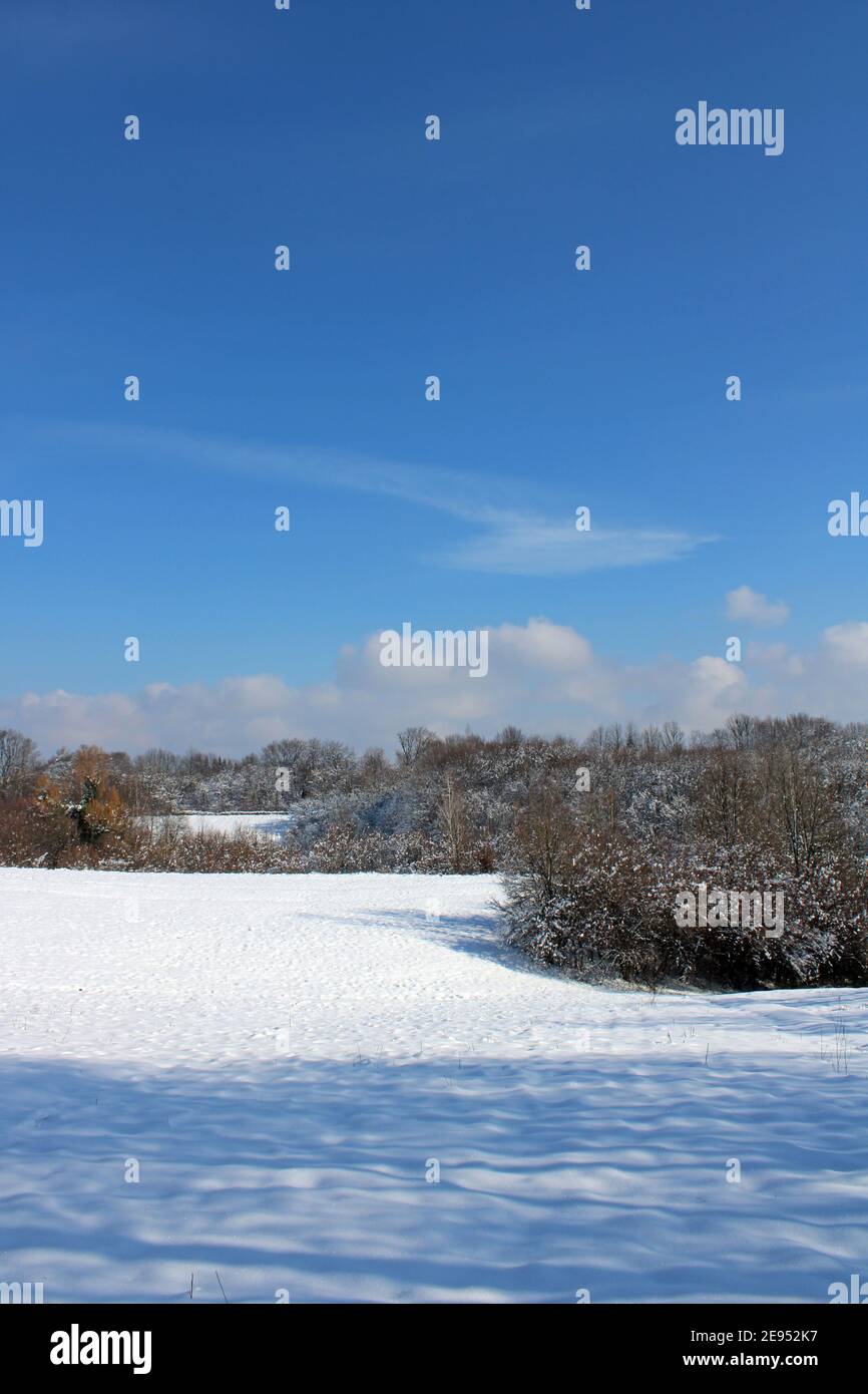 February nature winter scenes of Zagreb's surroundings, Croatia Stock ...