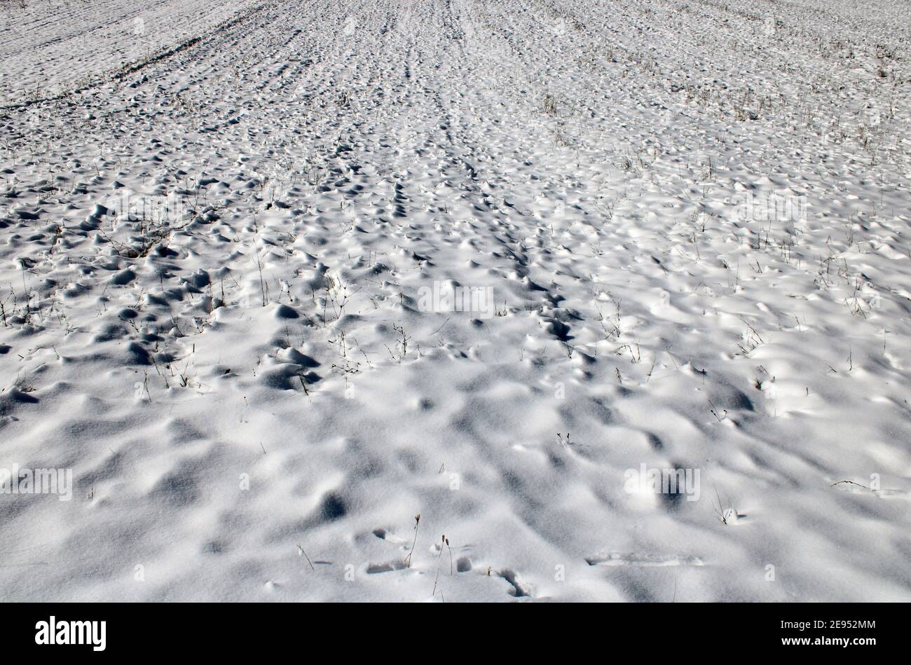 February nature winter scenes of Zagreb's surroundings, Croatia Stock ...