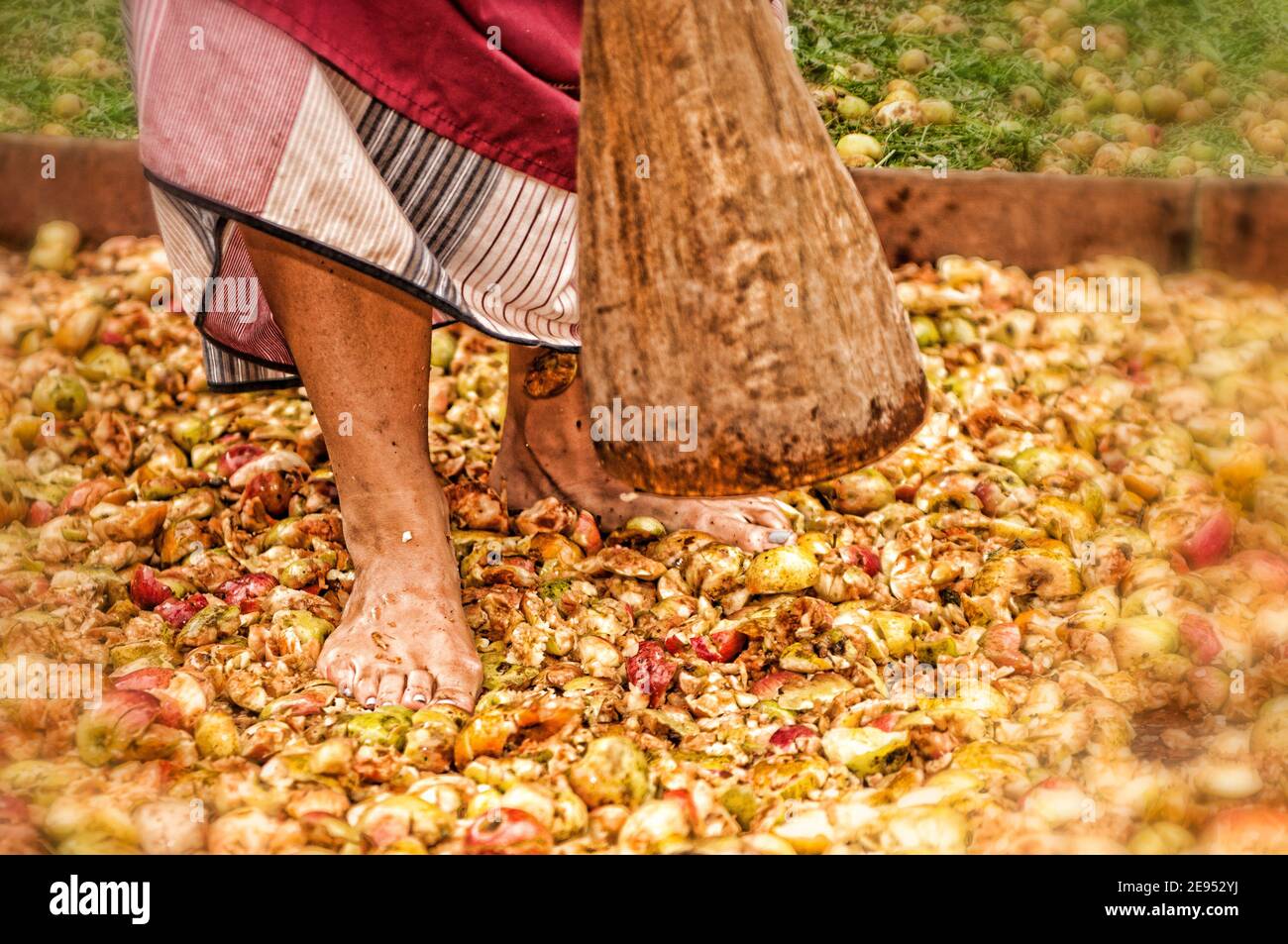 Grape press feet hi-res stock photography and images - Alamy