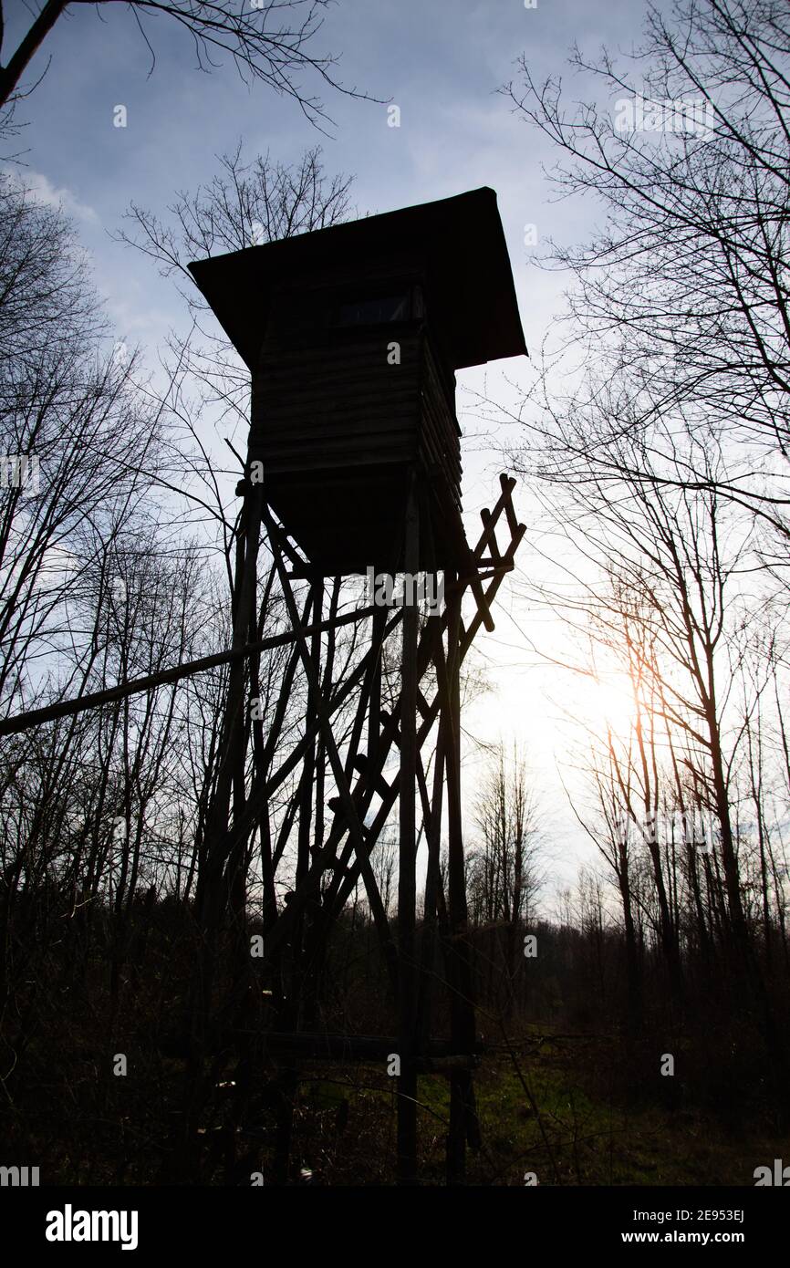 Hunter standing at the edge of the forest Stock Photo - Alamy
