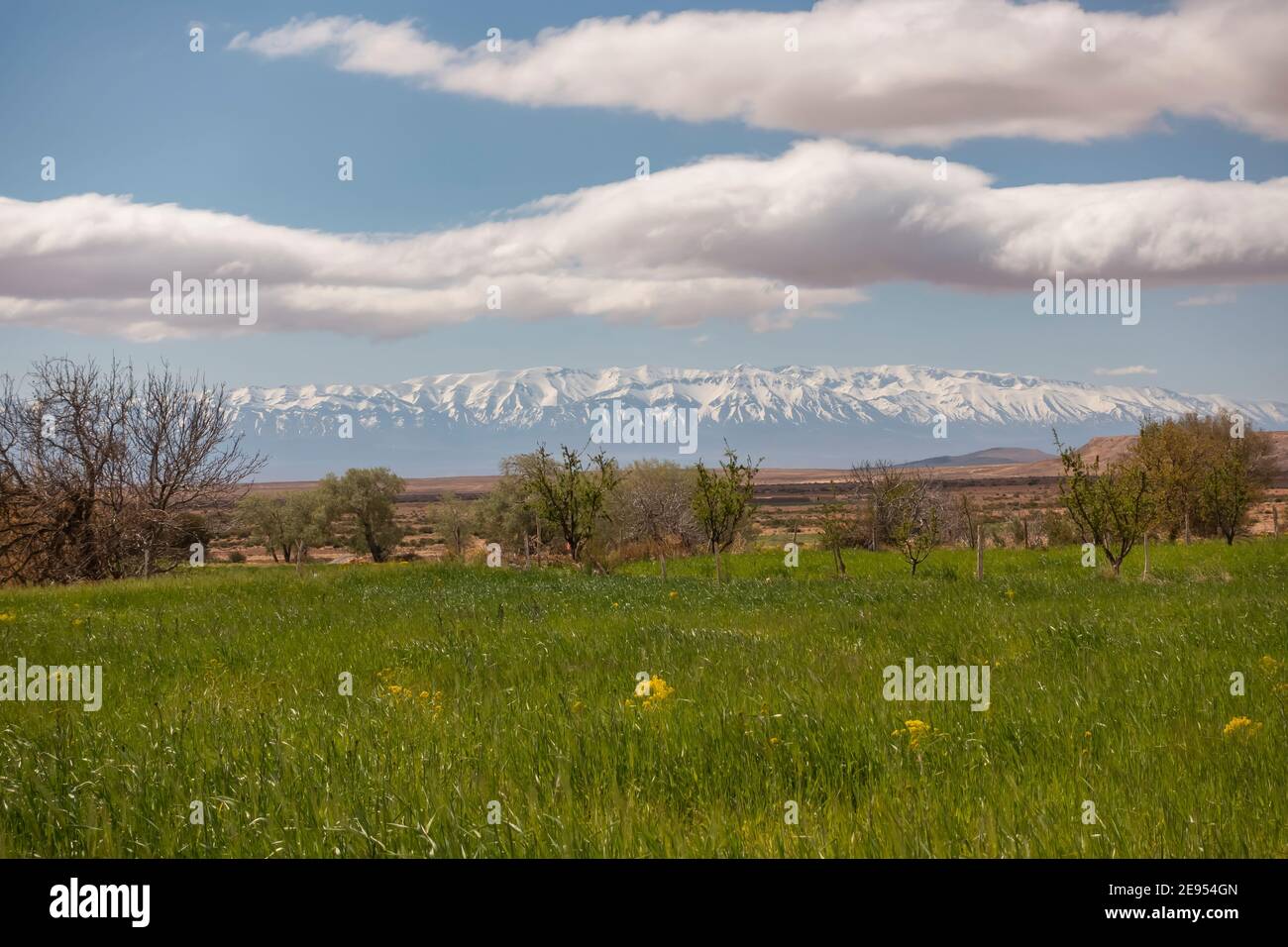 Spring time in Atlas Mountains of Morocco, North Africa Stock Photo - Alamy
