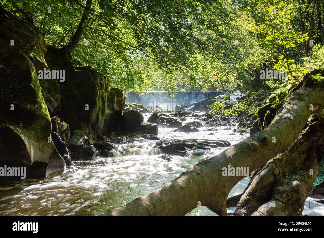 The river Darwen flowing through the hidden gem that is Hoghton Bottoms ...