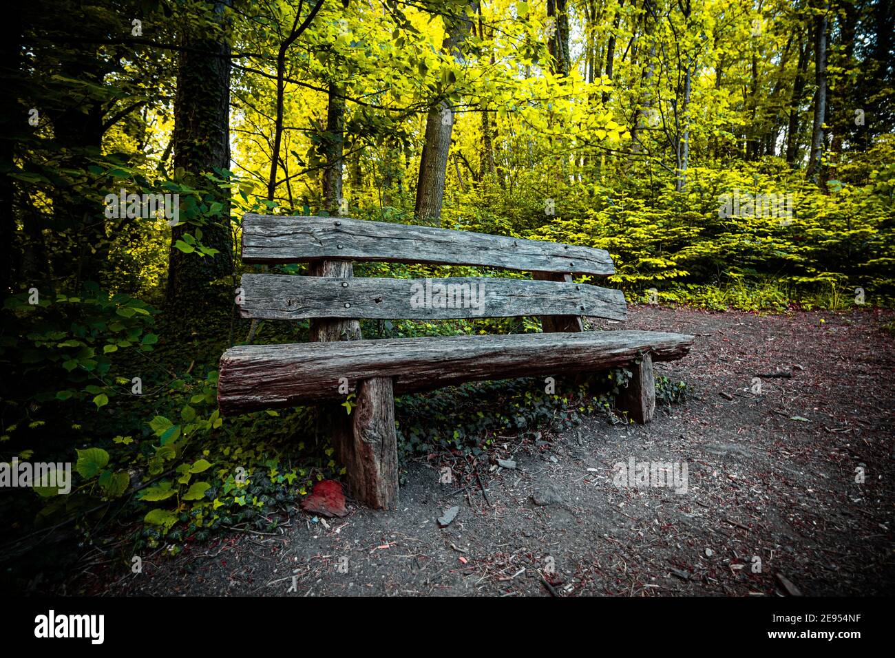 Hiking trail bench hi-res stock photography and images - Alamy