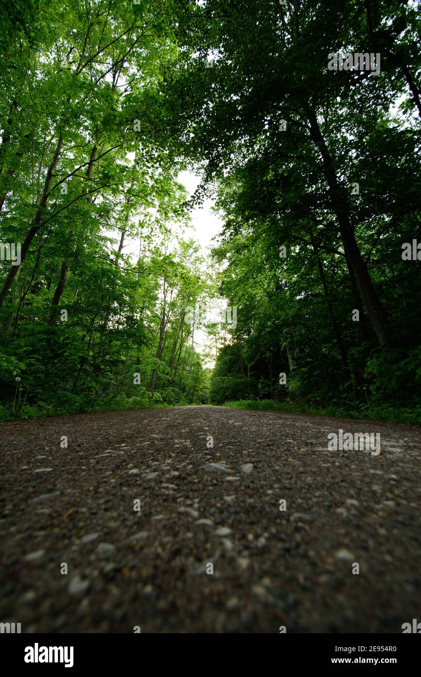 Pebble stone path walkway hi-res stock photography and images - Alamy