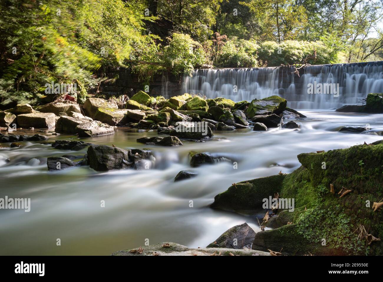 The river Darwen flowing through the hidden gem that is Hoghton Bottoms ...