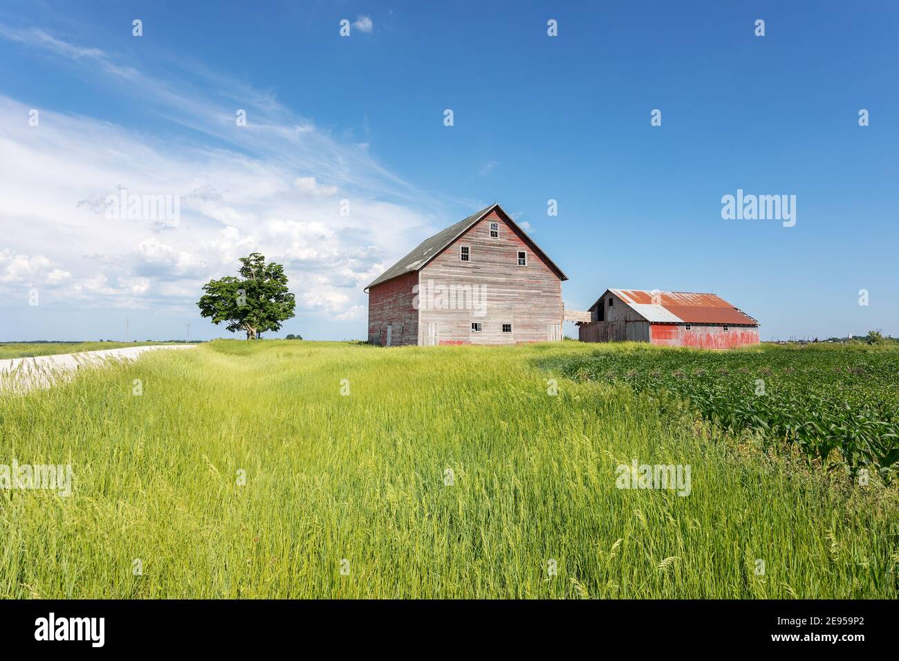 Iowa barn hi-res stock photography and images - Alamy