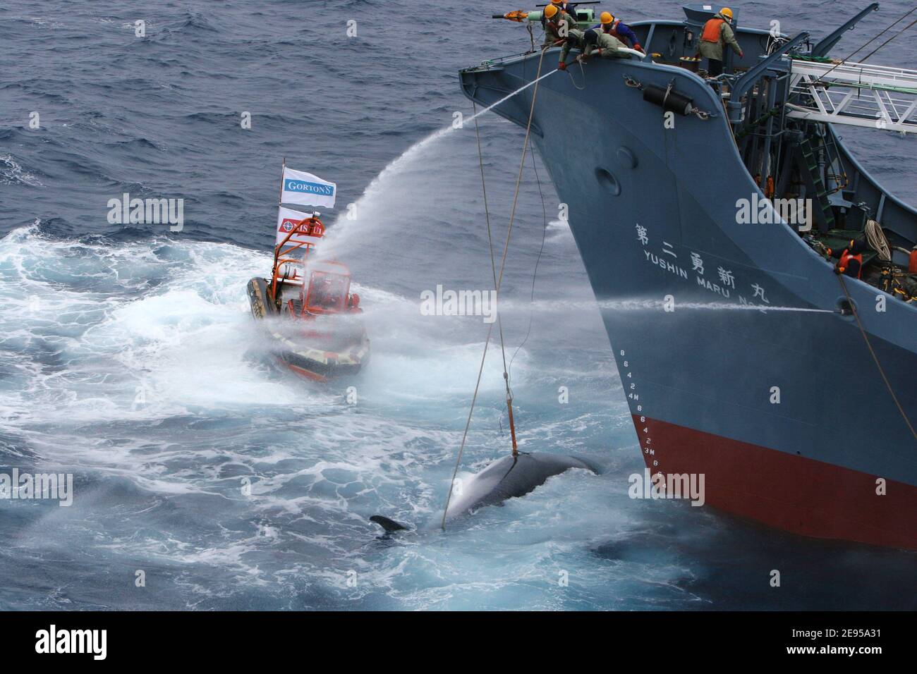 Inflatables from the Greenpeace ship MY Esperanza and MY Arctic Sunrise ...