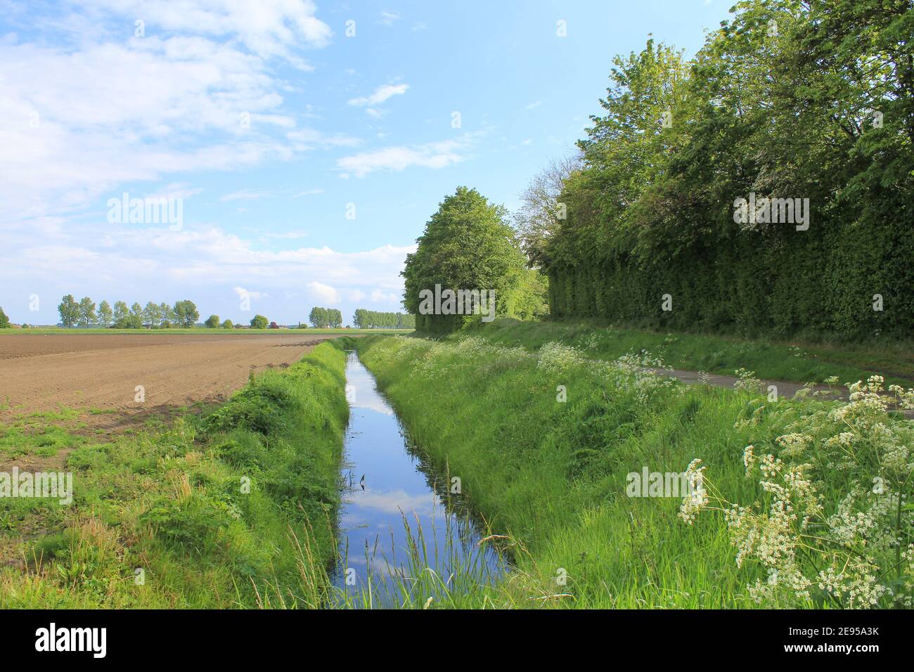 Ditch weed hi-res stock photography and images - Alamy