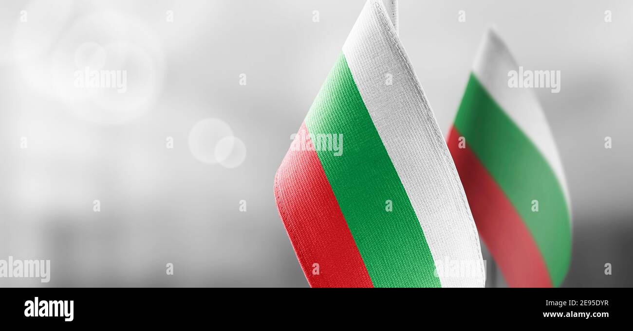 Small national flags of the Bulgaria on a light blurry background Stock ...