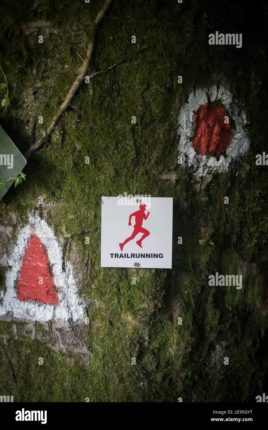 Image of a trail running track mark on a tree, along with touristic ...