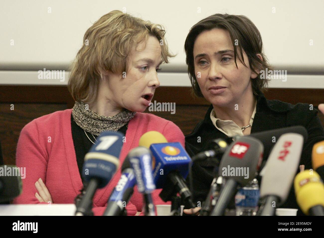 Dinoire hi-res stock photography and images - Alamy