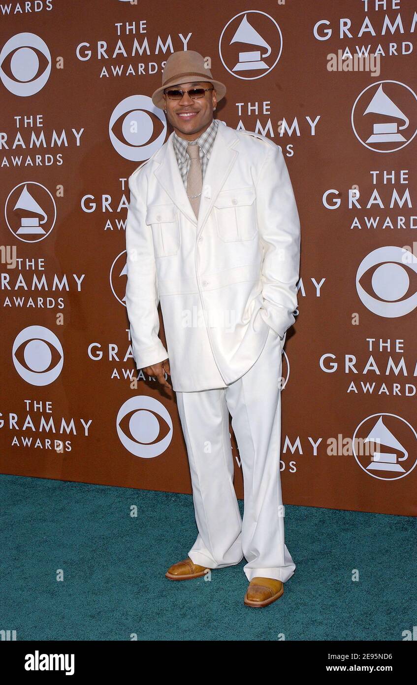 LL Cool J arrives at the 48th Annual Grammy Awards held at the Staples ...