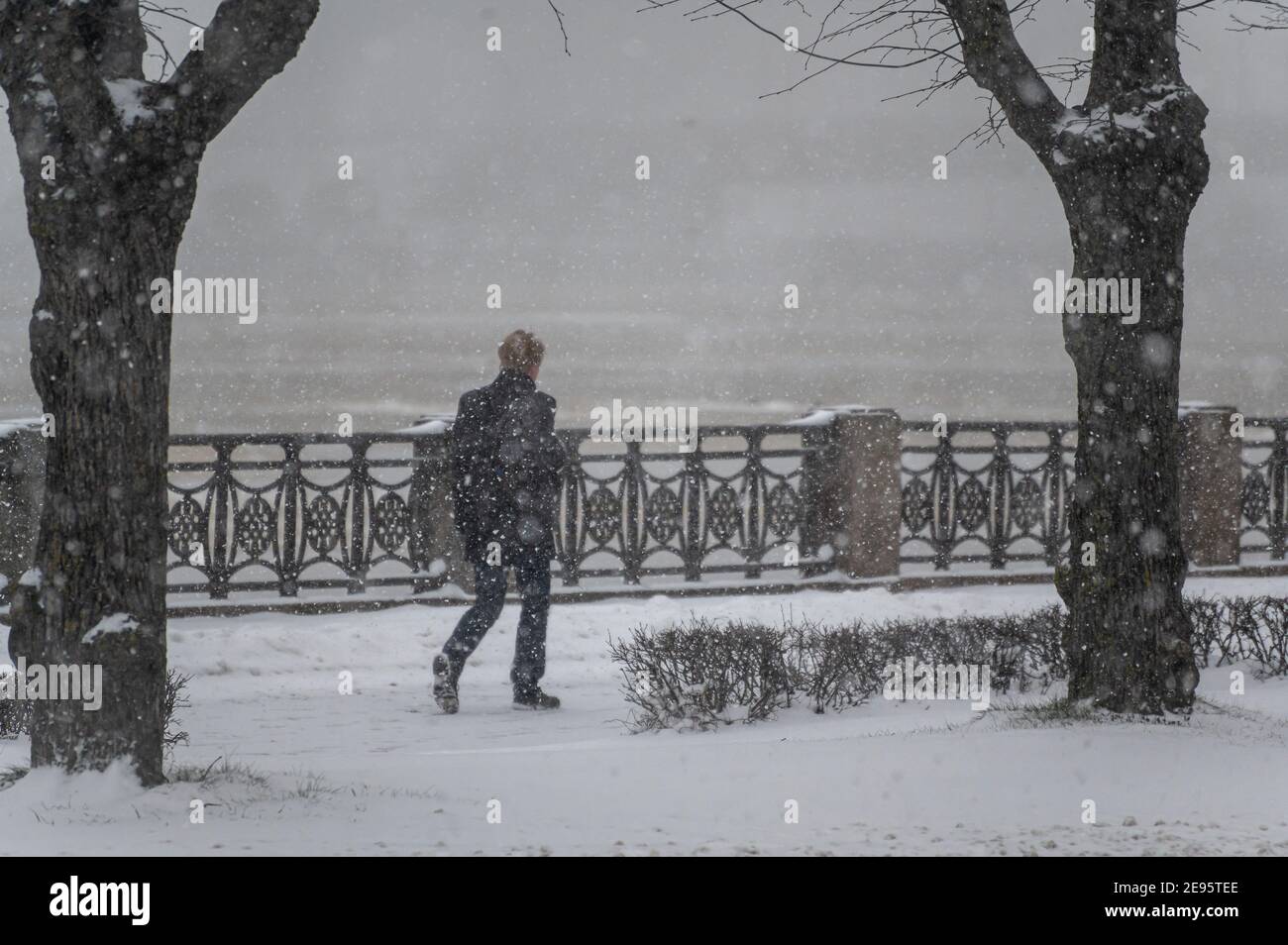a passer-by walks along the embankment in a heavy snowfall. snowfall in ...