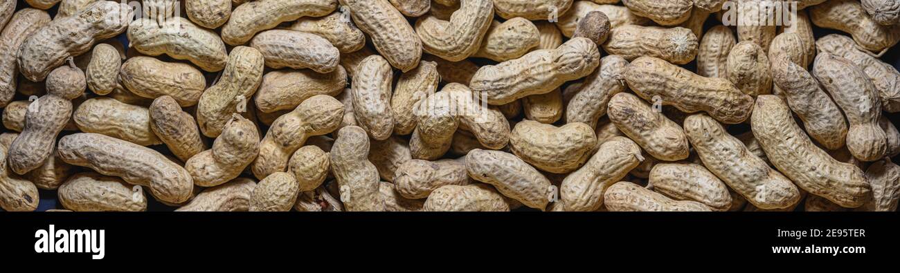 Peanut panoramic background. Peanut in a shell texture. Food background ...