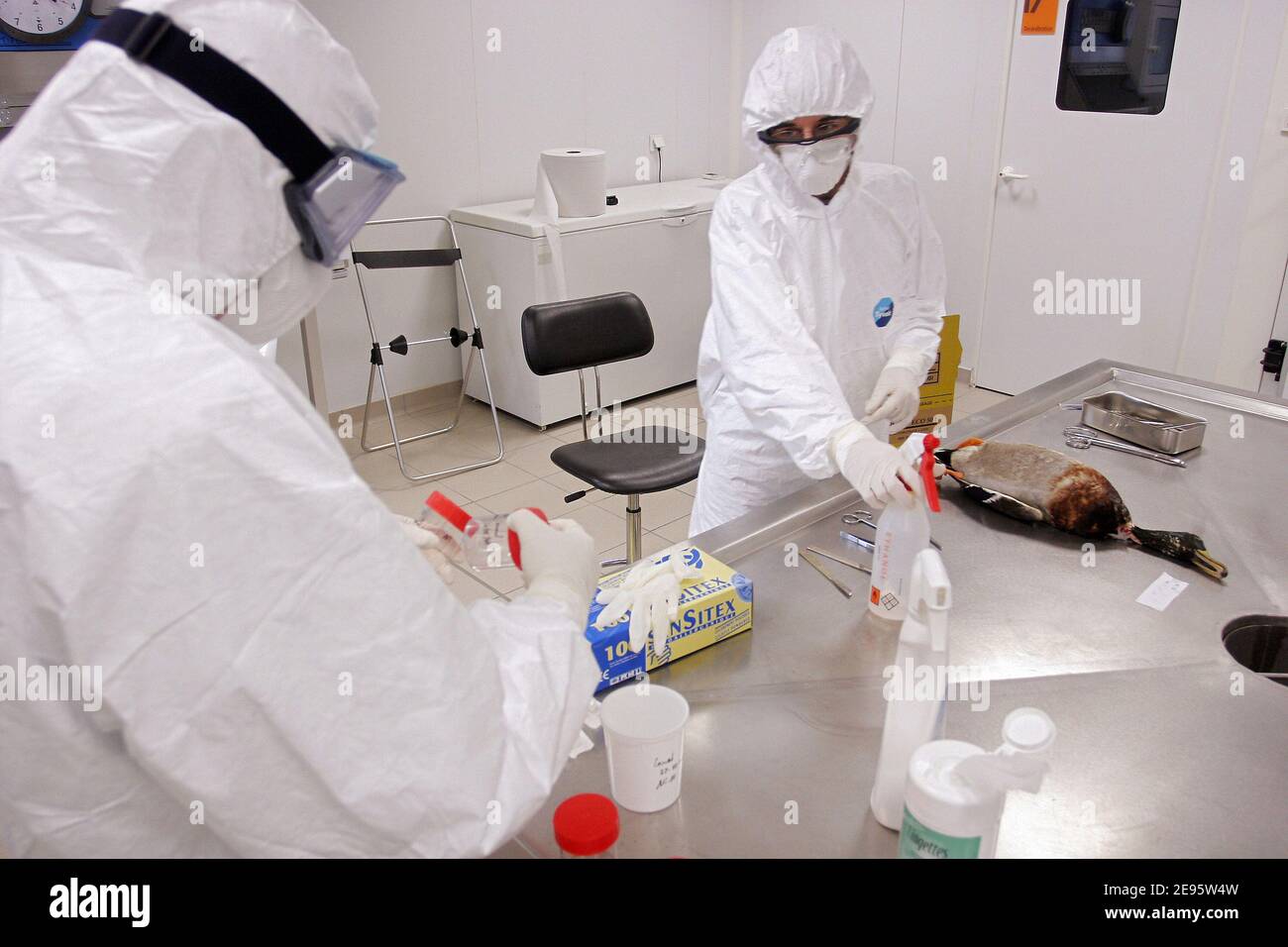 Poulet de sauvetage hi-res stock photography and images - Alamy