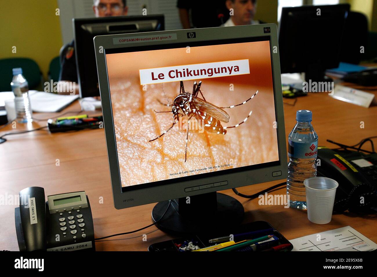 A view of the mosquito responsible of the disease is seen on the ...