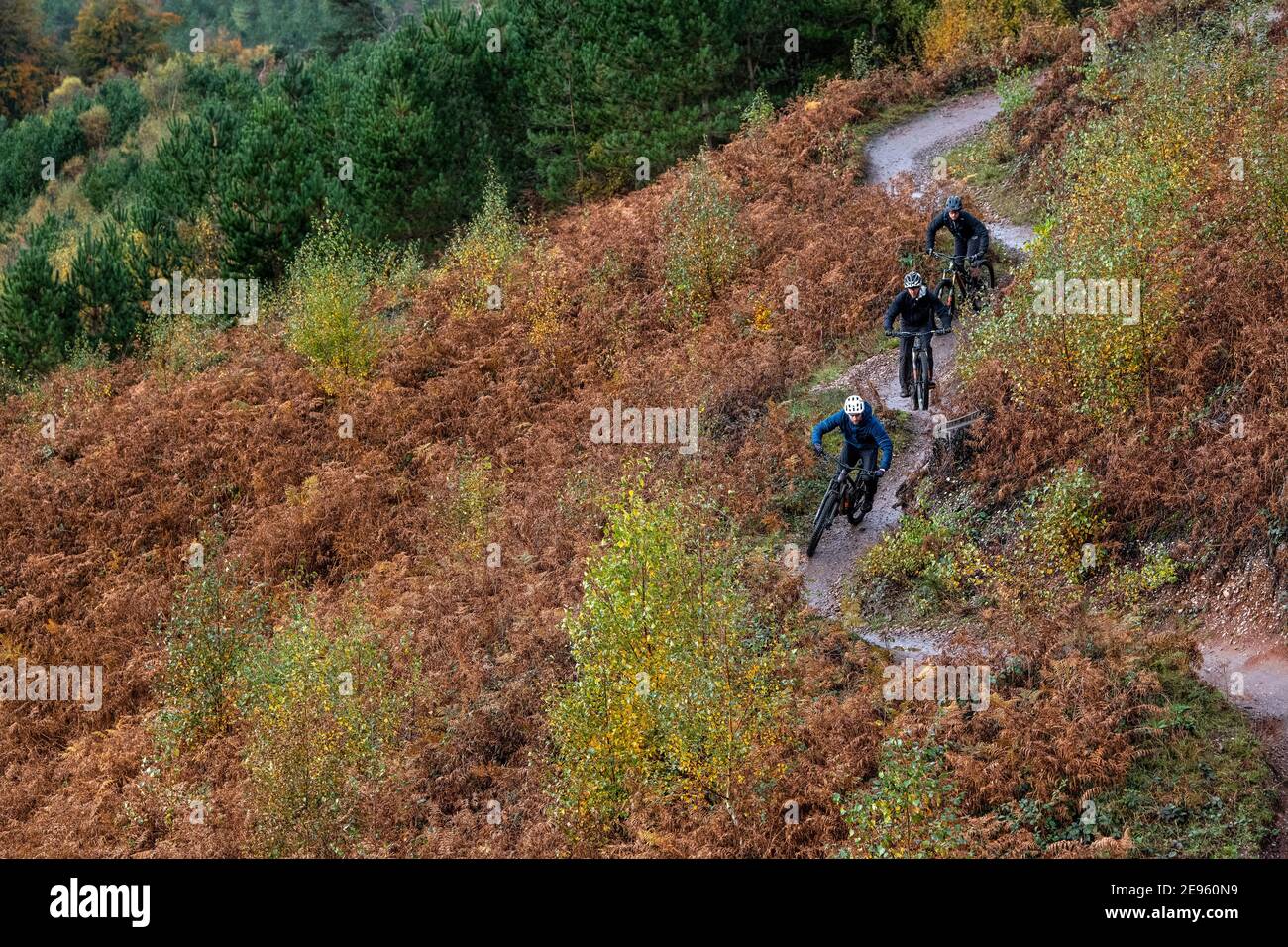 Three men ride mountain bikes on a trail an autumnal day on Cannock ...