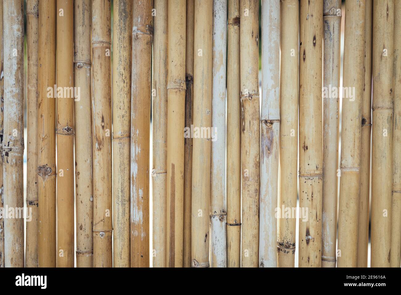Rough wood garden screen hi-res stock photography and images - Alamy