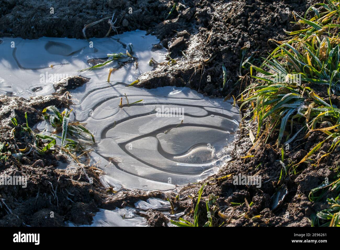 Puddle floor hi-res stock photography and images - Alamy