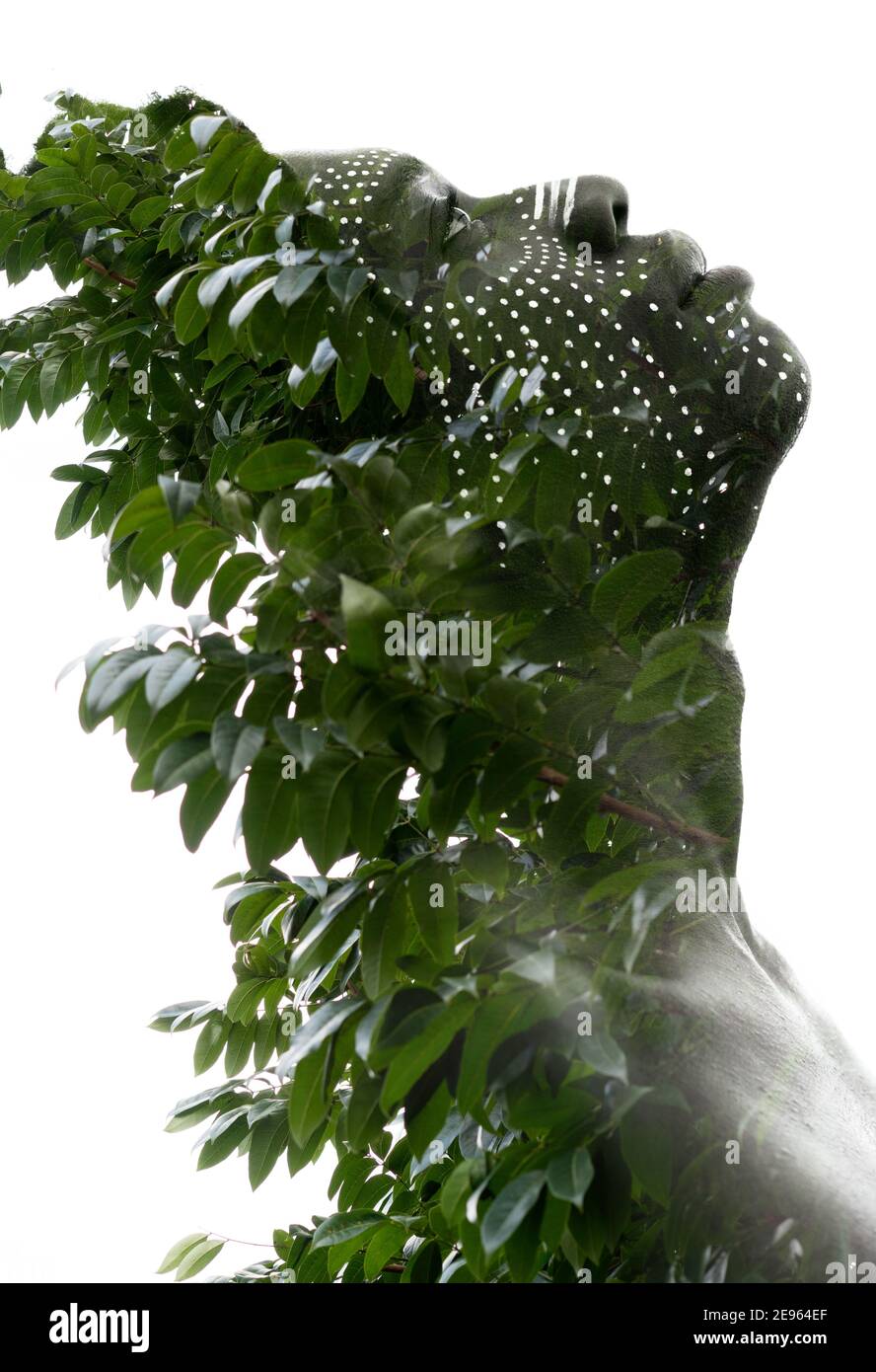 A double exposure portrait with tree leaves Stock Photo - Alamy