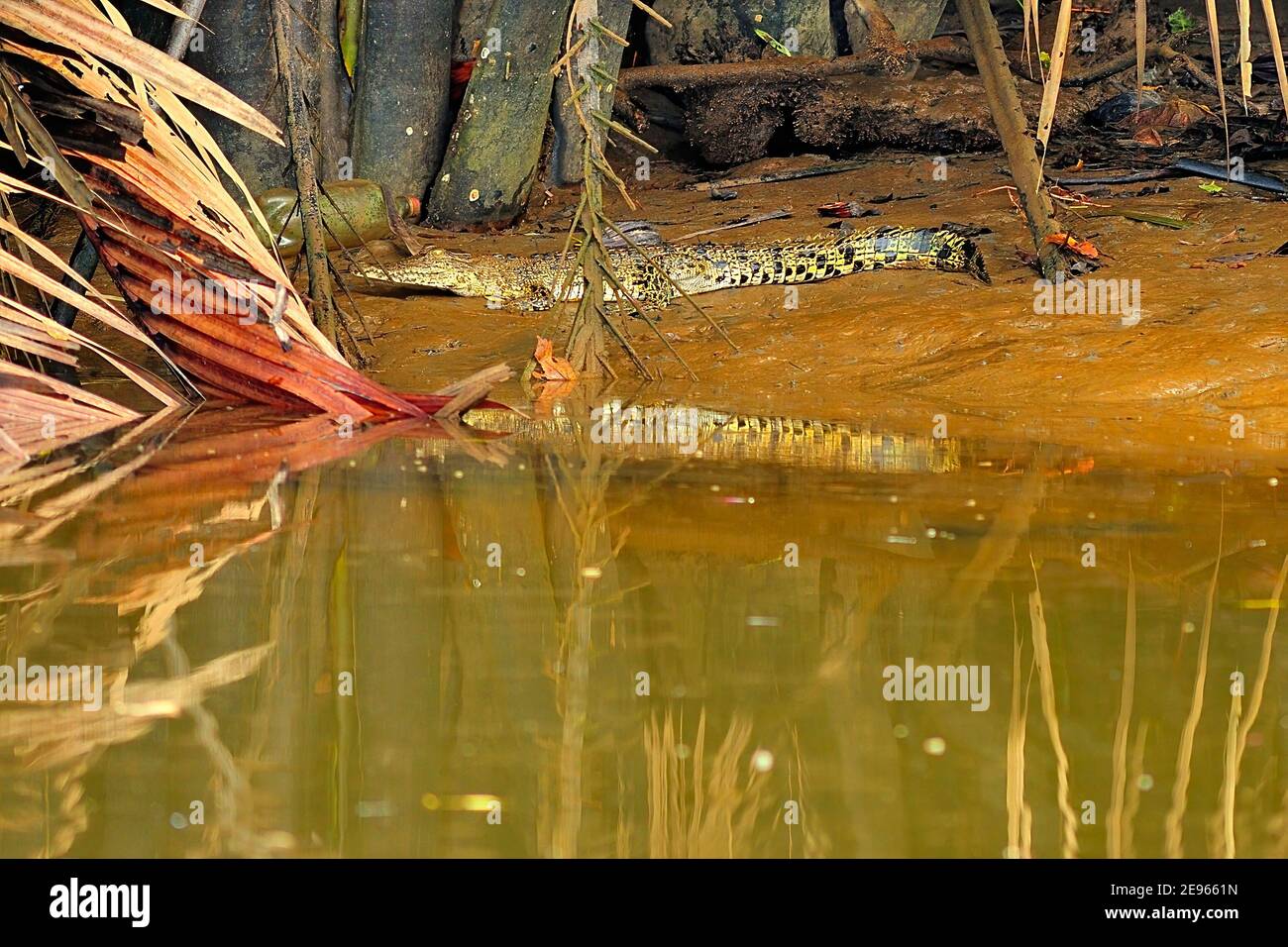 Ed Banks High Resolution Stock Photography and Images - Alamy