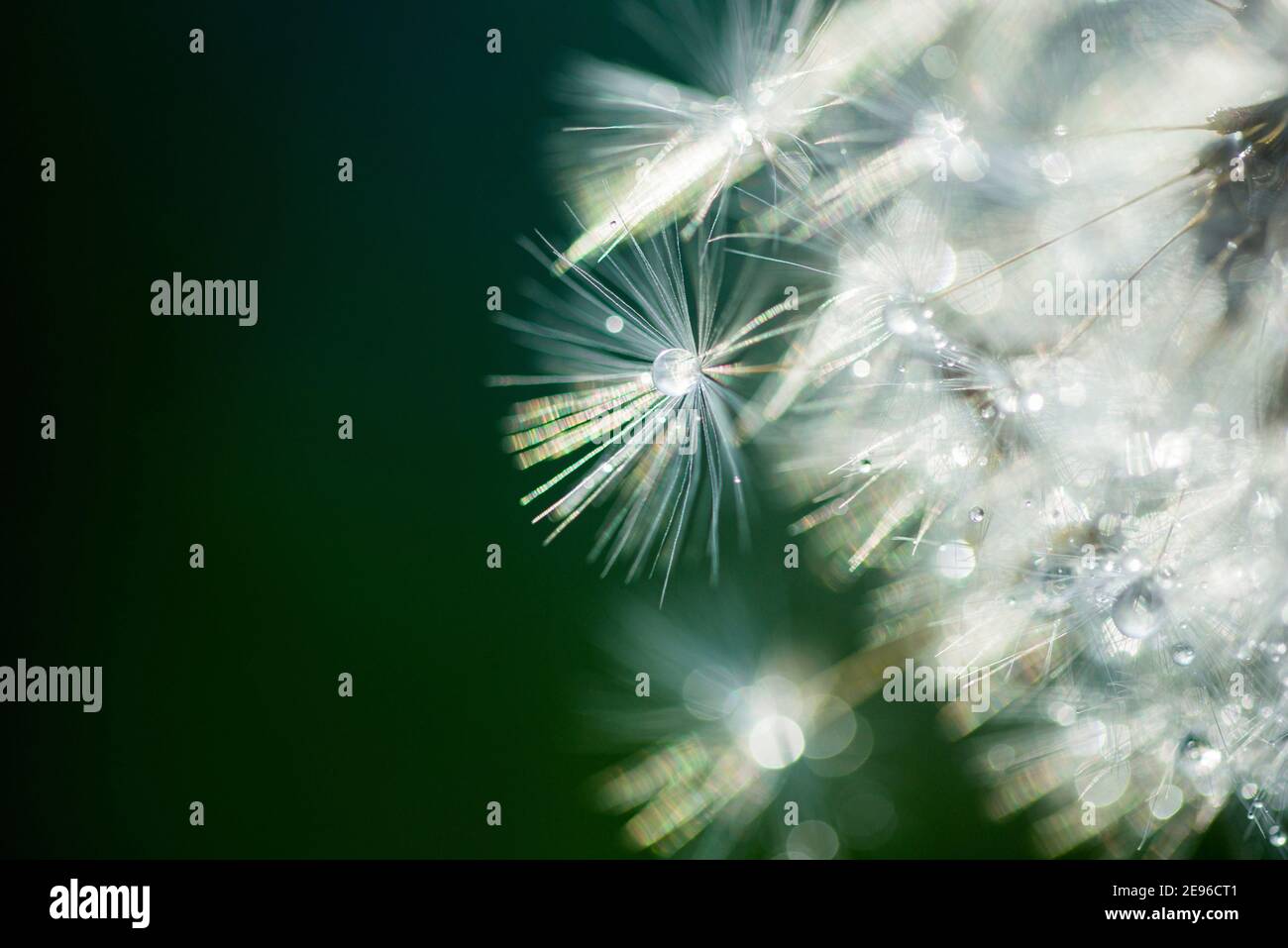 Freedom of design hi-res stock photography and images - Alamy