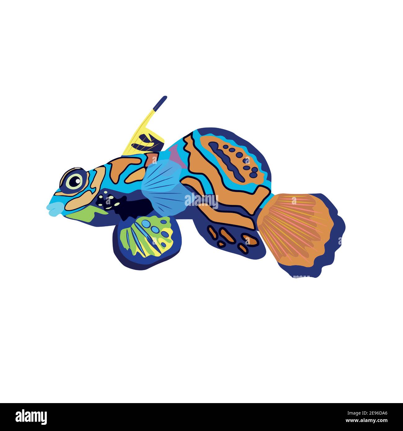 Mandarin fish beautiful character, Scandinavian style, hand drawn Stock ...