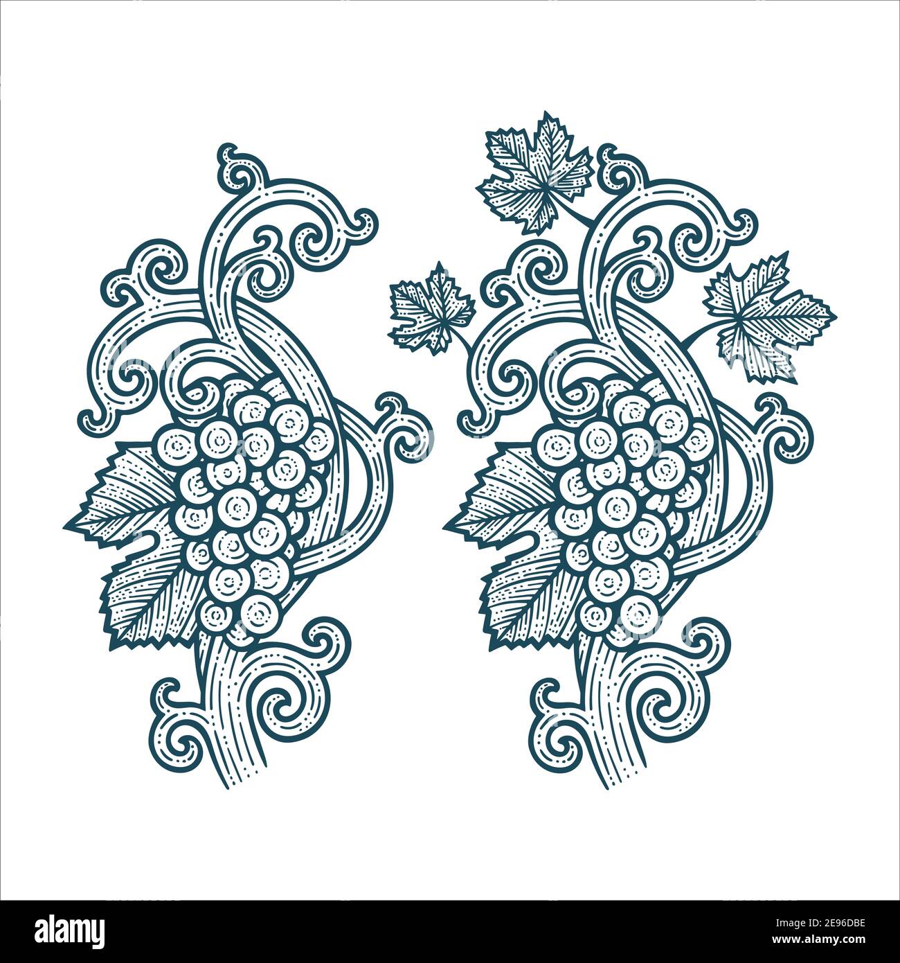 Grape bunch, vine and leafs. Grapevine vintage style hand drawn vector ...