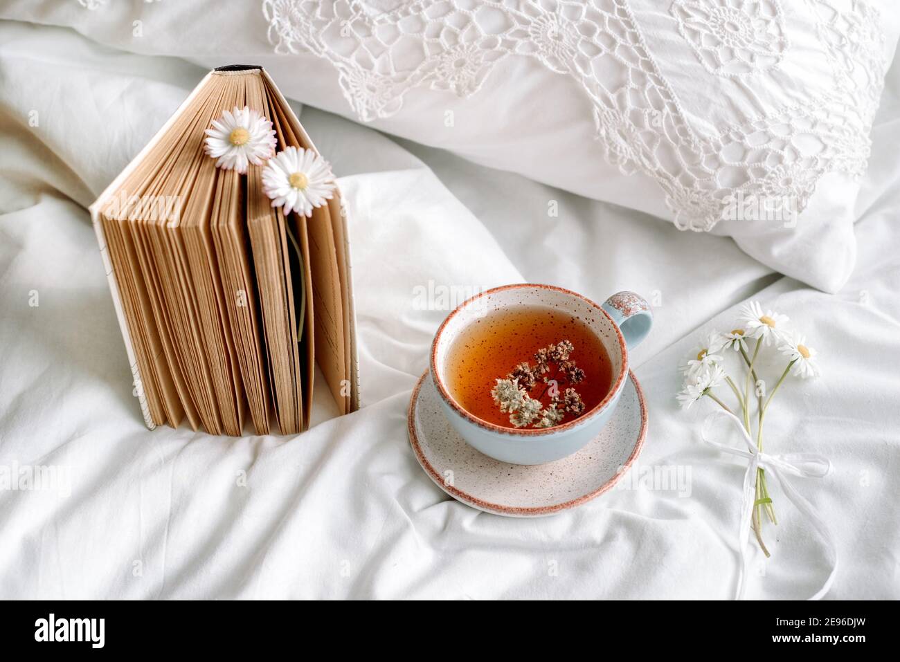 Daisy Herbal Tea High Resolution Stock Photography and Images - Alamy