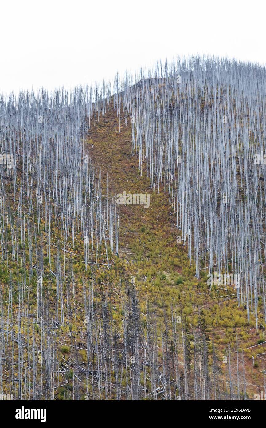 Avalanche chute hi-res stock photography and images - Alamy