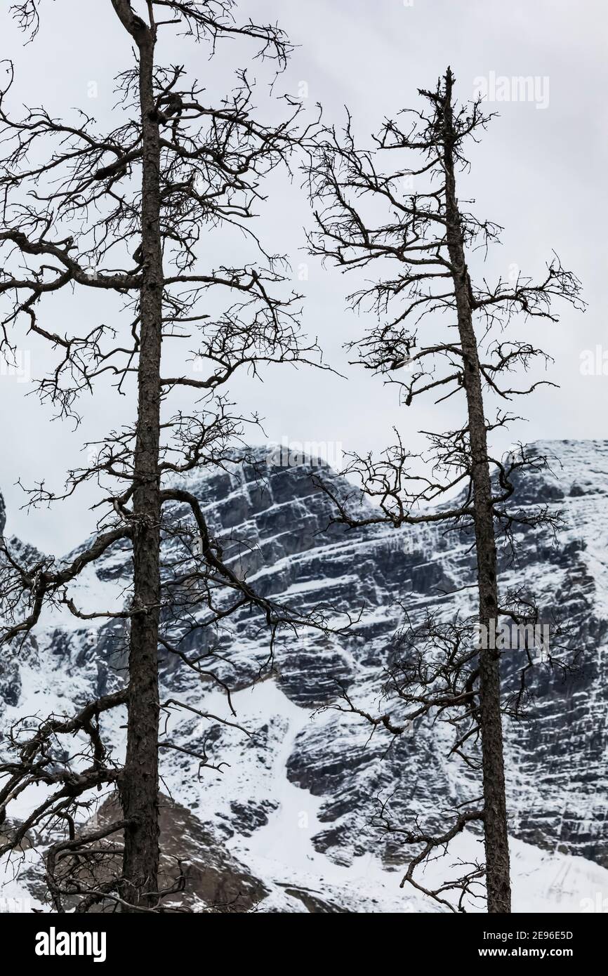 Stark peak hi-res stock photography and images - Alamy