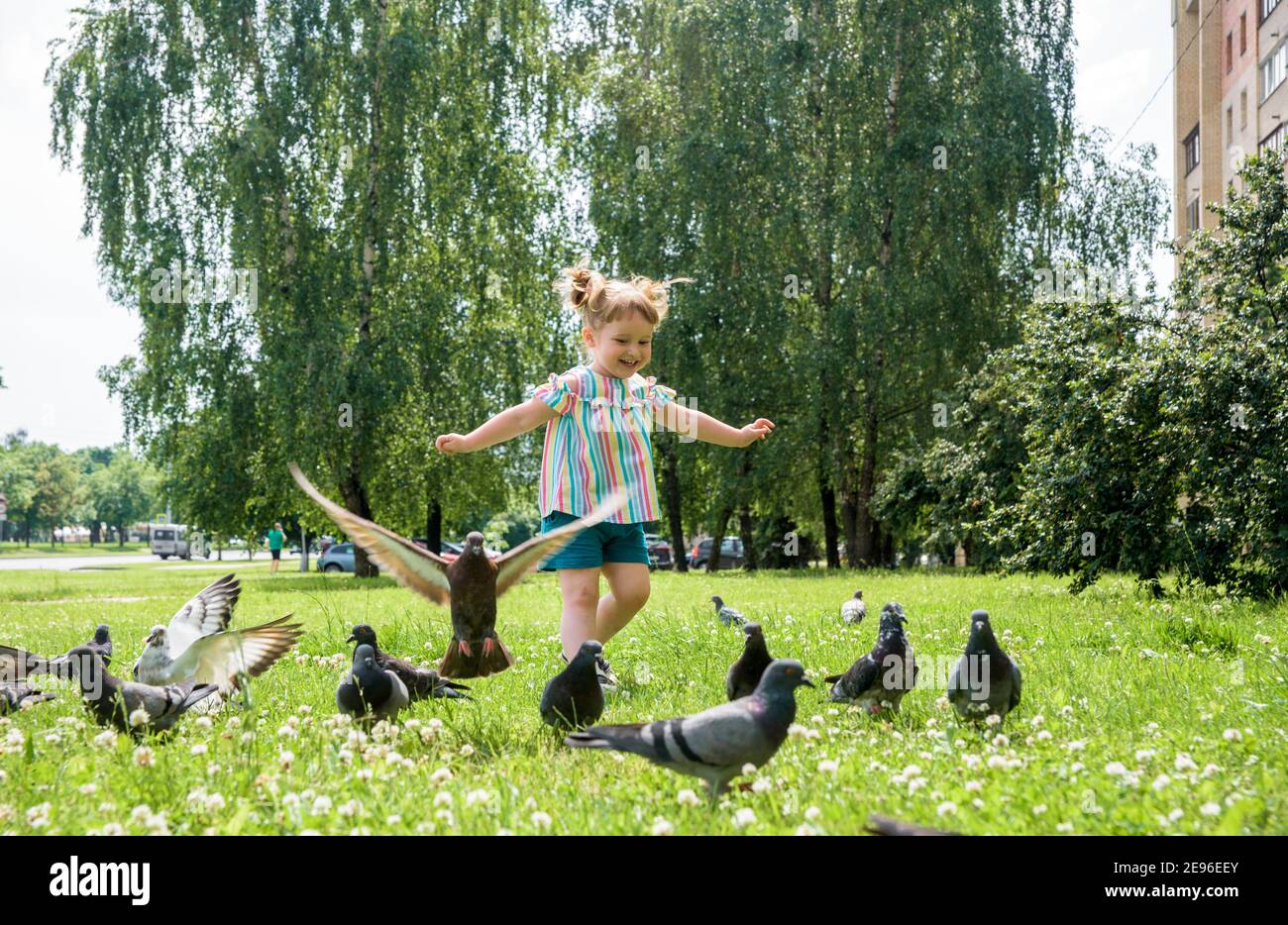 A little girl runs for pigeons.Baby Girl Chasing Pigeons In Outdoors ...