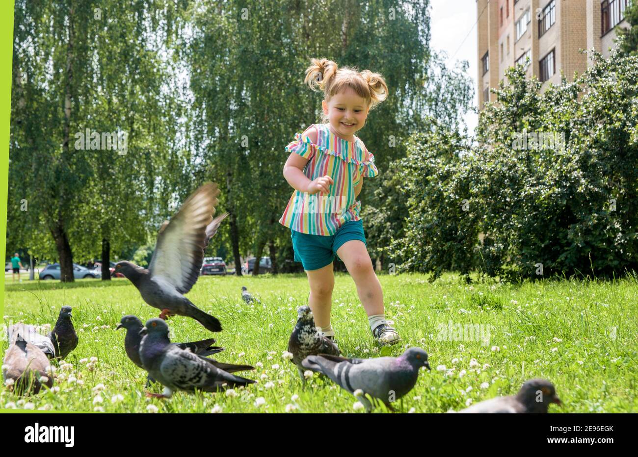 A little girl runs for pigeons.Baby Girl Chasing Pigeons In Outdoors ...