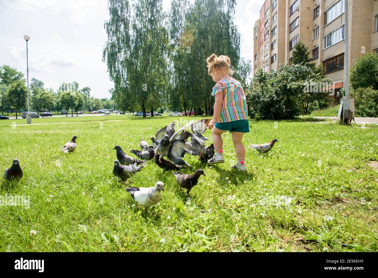 A little girl runs for pigeons.Baby Girl Chasing Pigeons In Outdoors ...