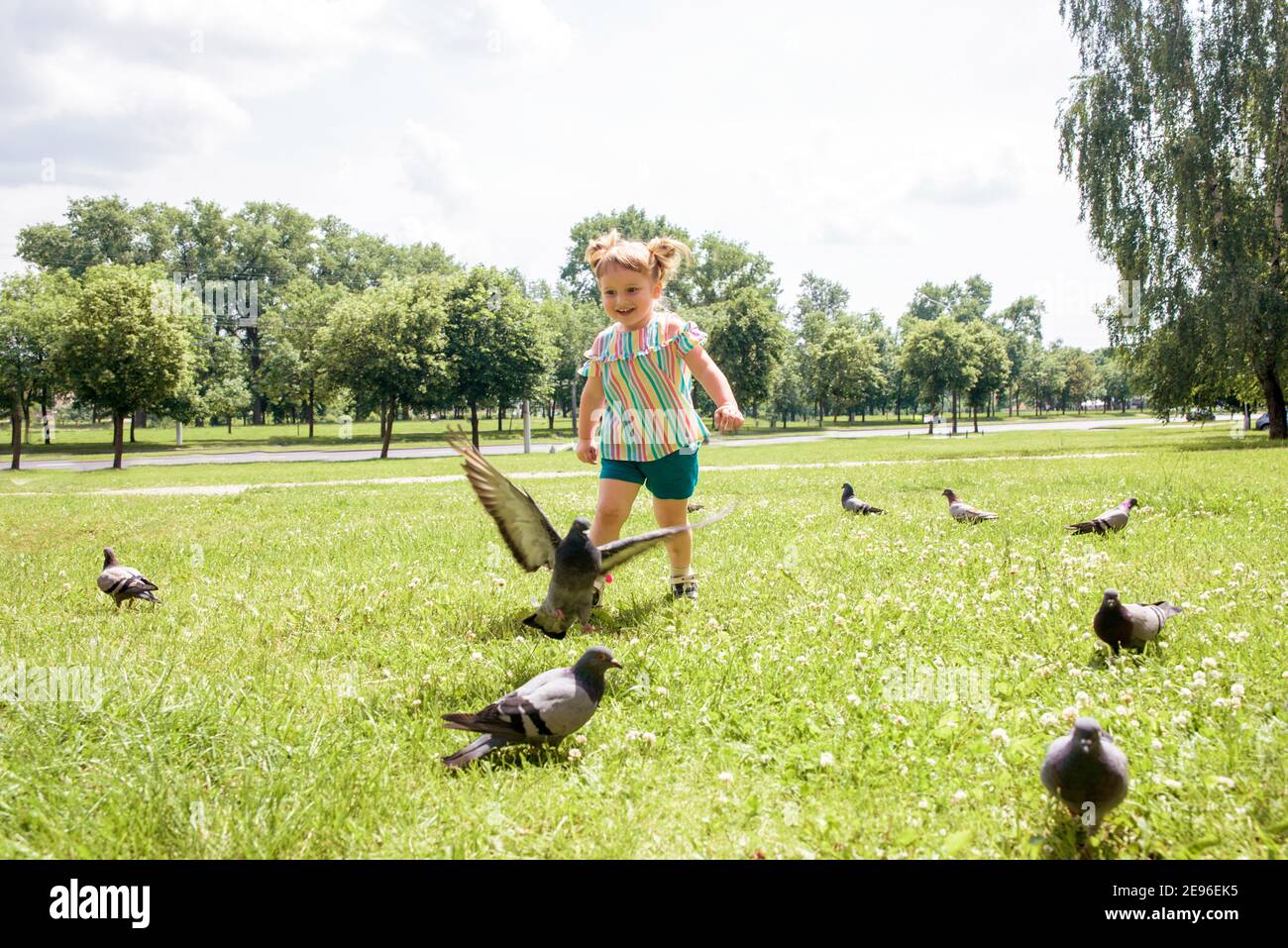 A little girl runs for pigeons.Baby Girl Chasing Pigeons In Outdoors ...