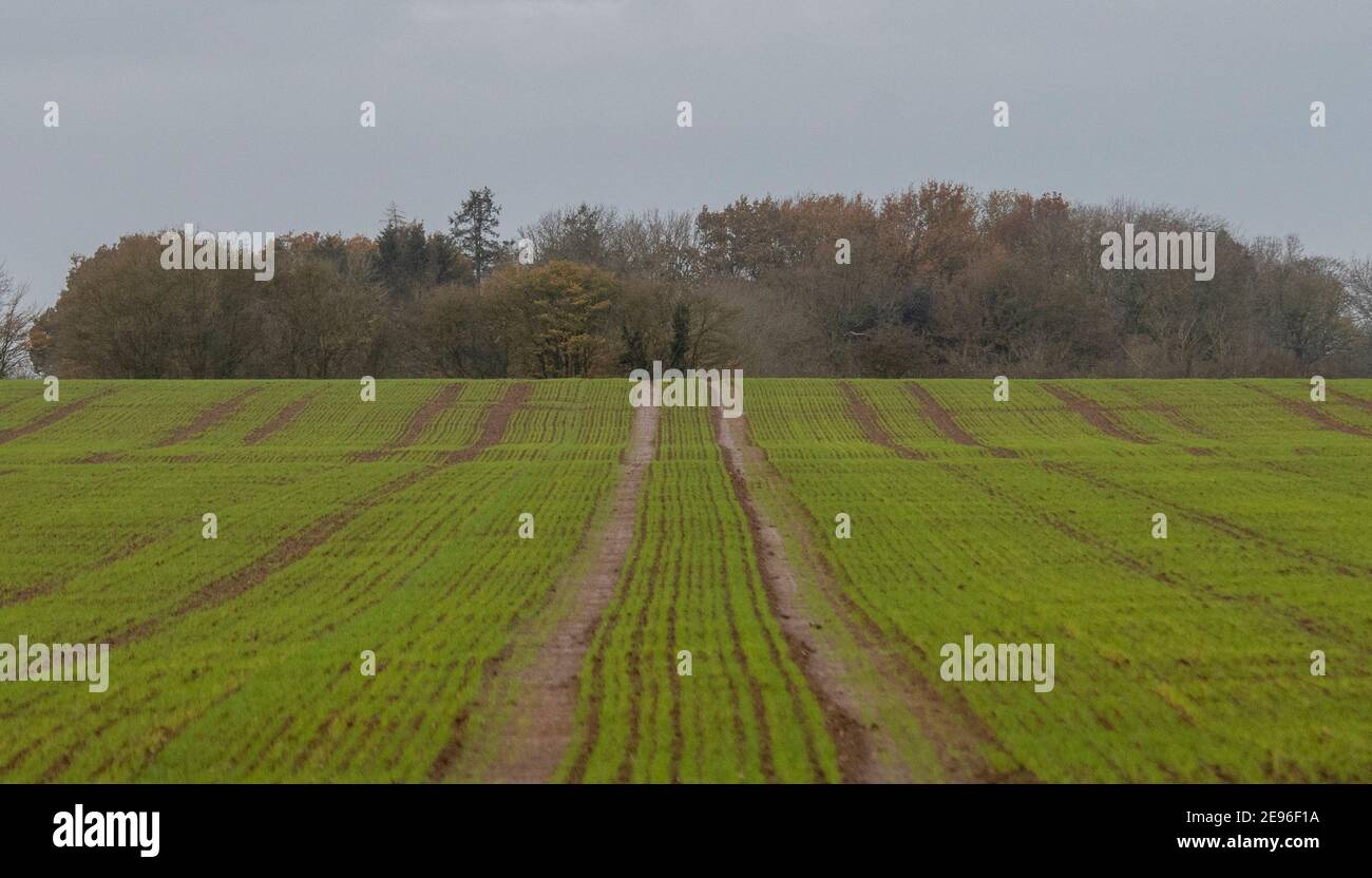 Looking at tractor hi-res stock photography and images - Alamy