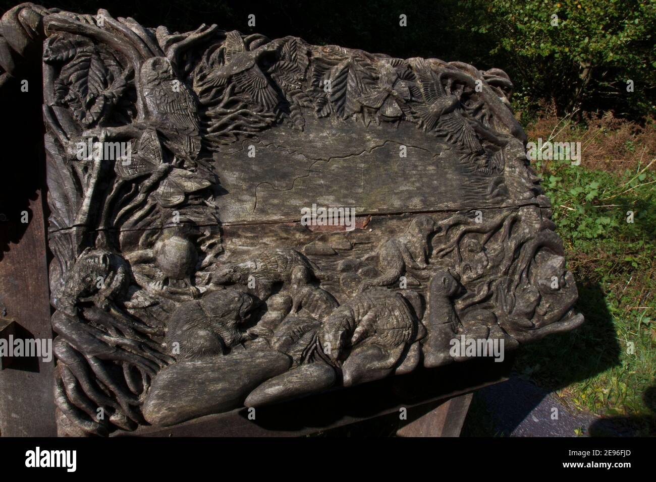 Map of a trail or path, engraved onto a piece of wood as a sign for ...