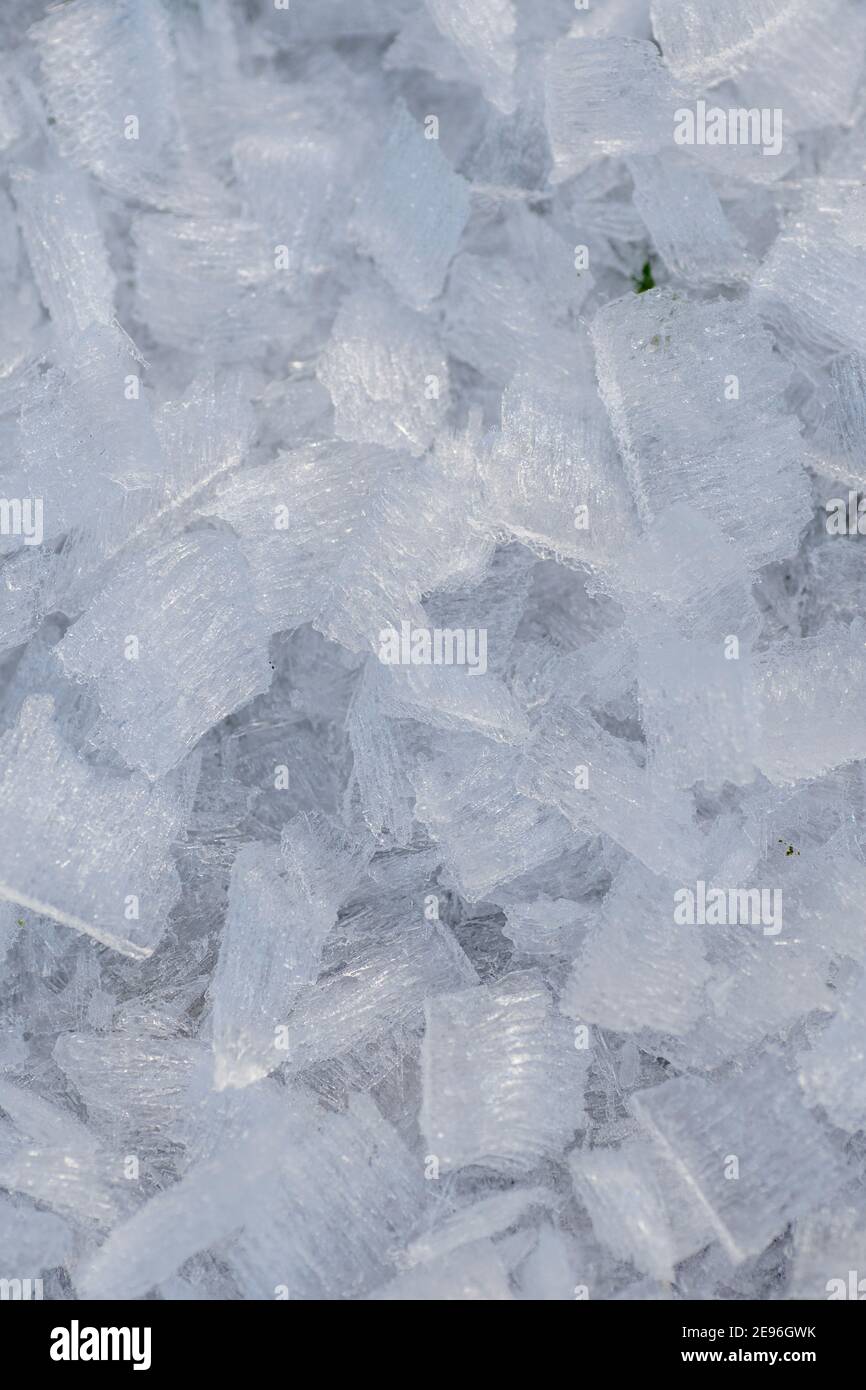 Fallen to the ground hi-res stock photography and images - Alamy