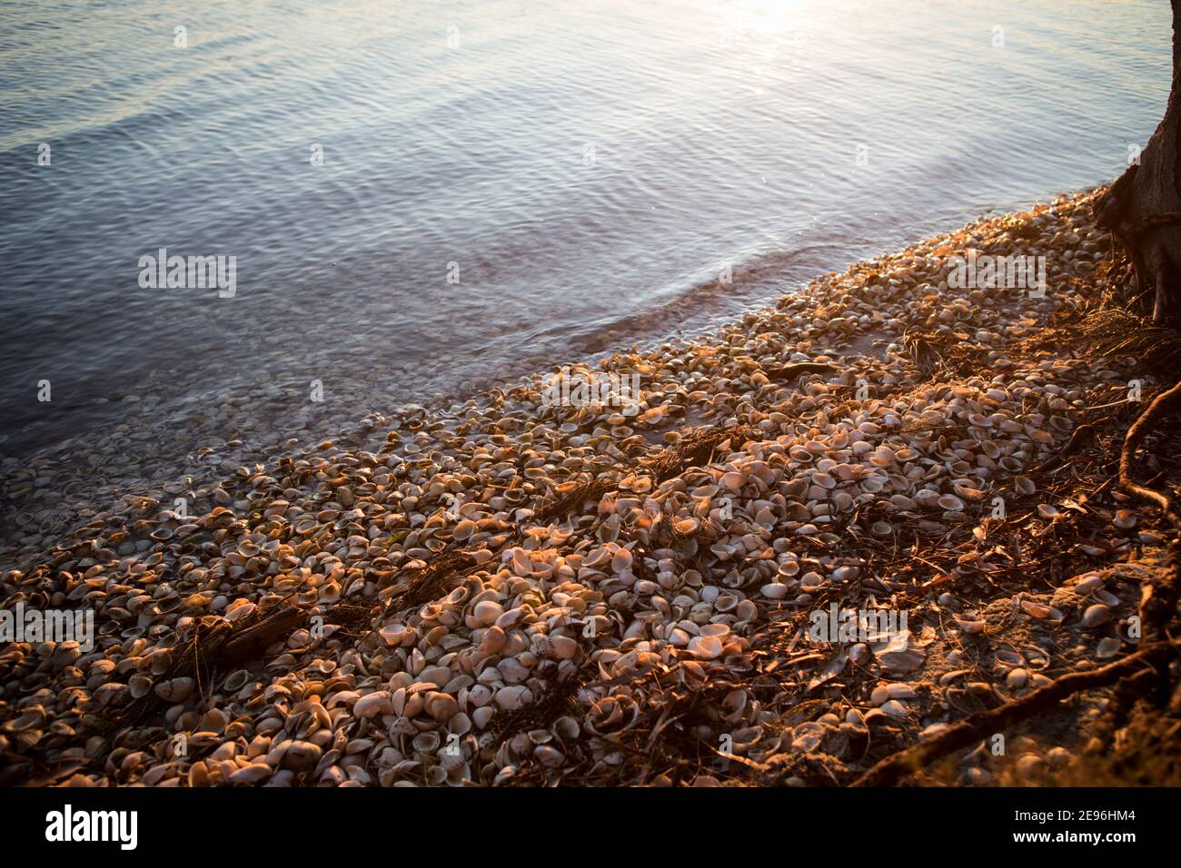St Georges Basin, South Coast, NSW, Australia Stock Photo - Alamy