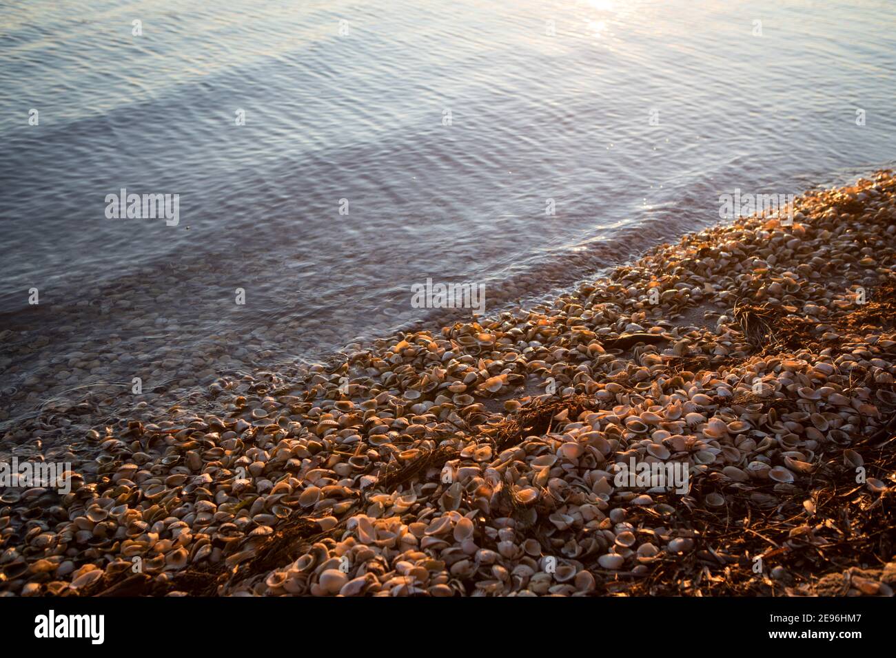 St Georges Basin, South Coast, NSW, Australia Stock Photo - Alamy
